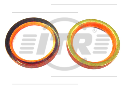 SEAL, LIP TYPE » TruckOrTrack.com